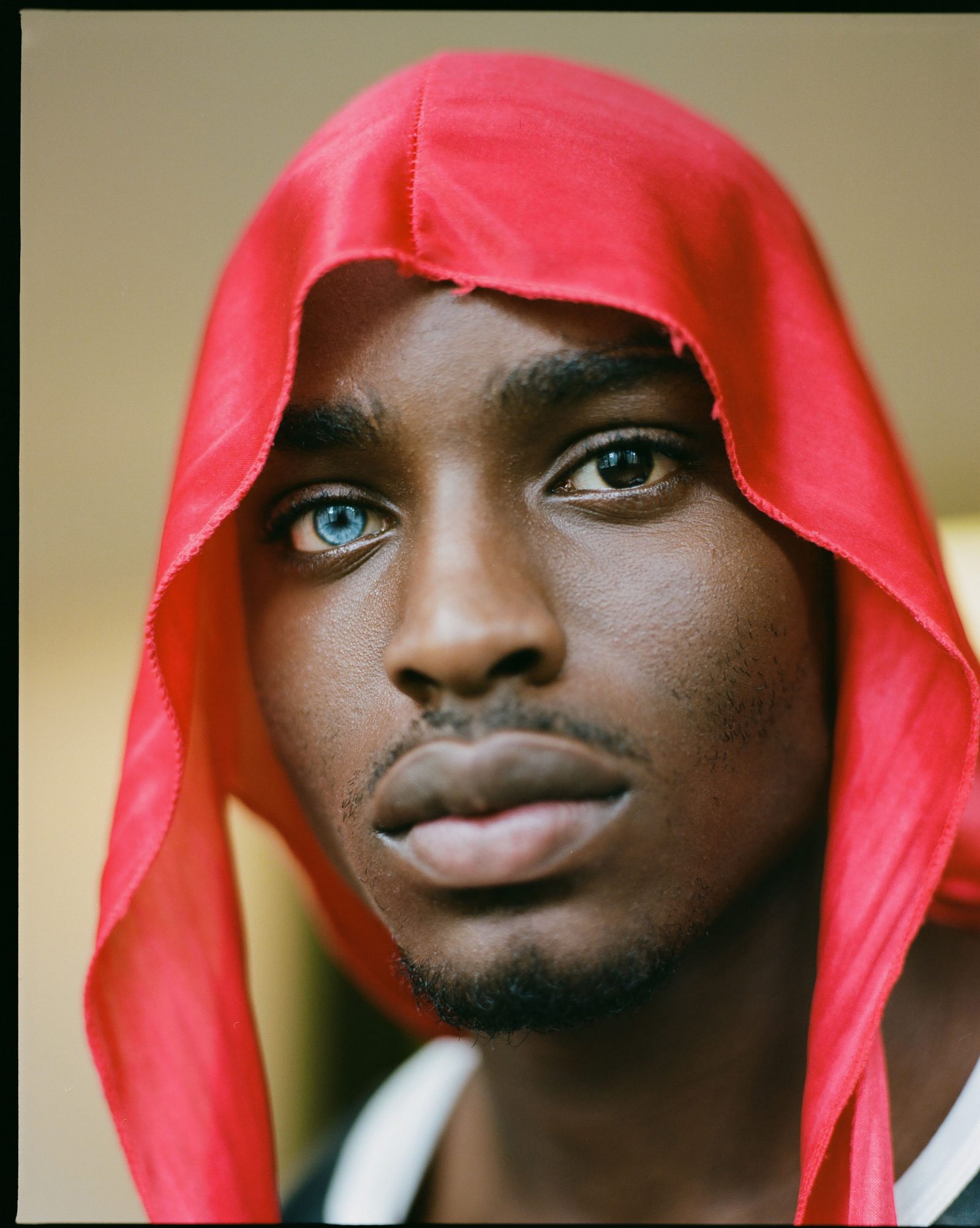 Dazed Boys - Rosie Matheson - What's Hamptoning